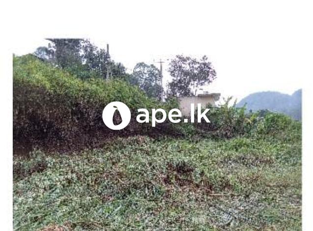 Land for sale in diyatalawa for sell badulla diyatalawa 6683