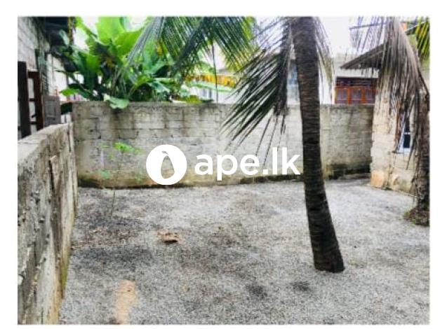 house for rent in wellampitiya forrent colombo wellampitiya 6512