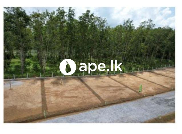 Watareka land for sale forrent colombo padukka 6571